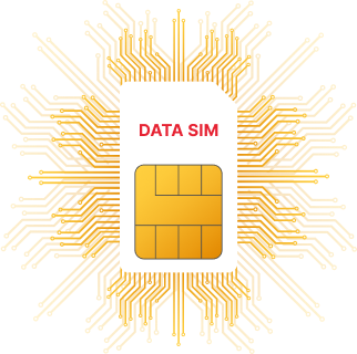 Data | GTN Mobile | SIM for Japan | SIM card for foreigners